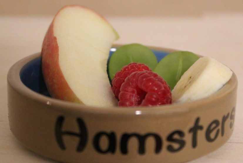 Hamsterfutter • 5 Bestandteile für einen gesunden und vitalen Hamster!