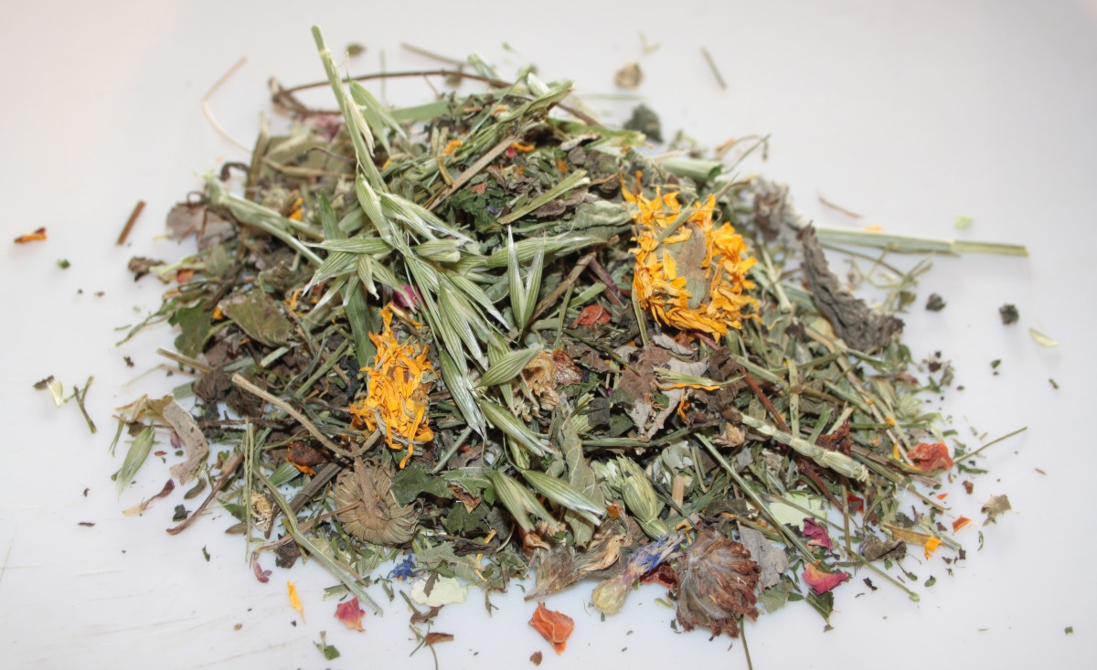 Lagerung von Hamsterfutter: So bleibt das Futter lange frisch - 4 Ideen